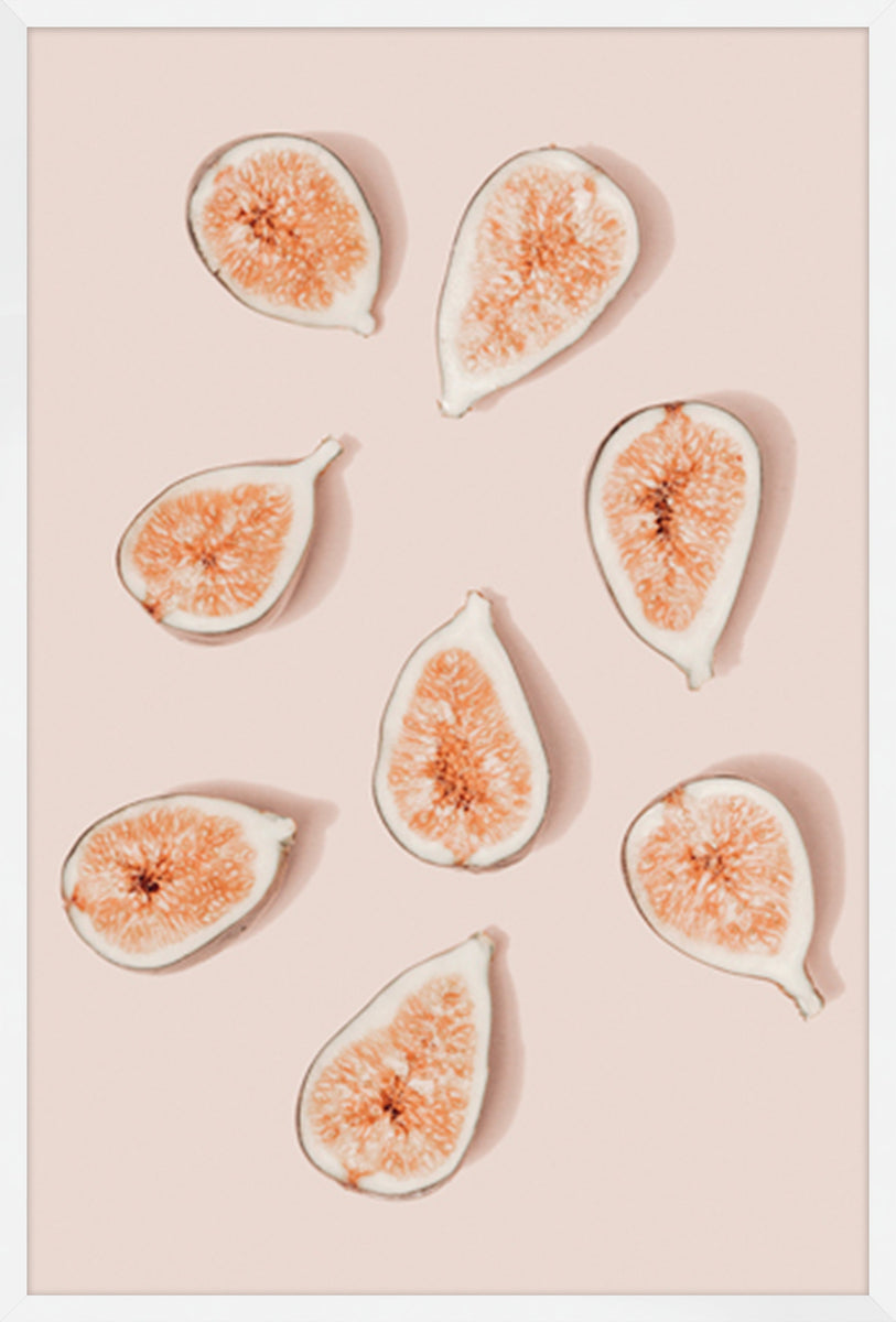 FIG SEGMENTS - DISPLAY – M+Co Living